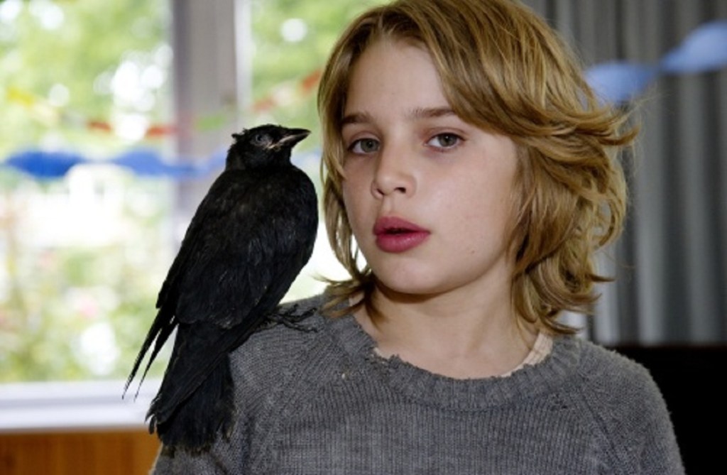 2012 BAM Award Winners | The Movie Rat